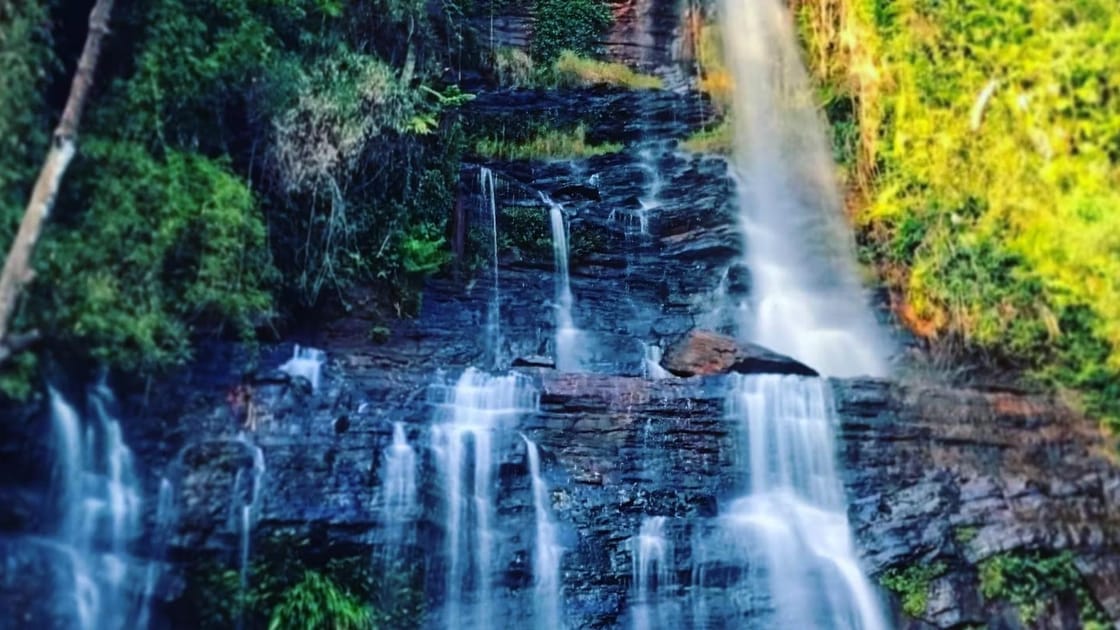 Best Places to Visit in Coorg – Top Tourist Attractions | Pickyourtrail