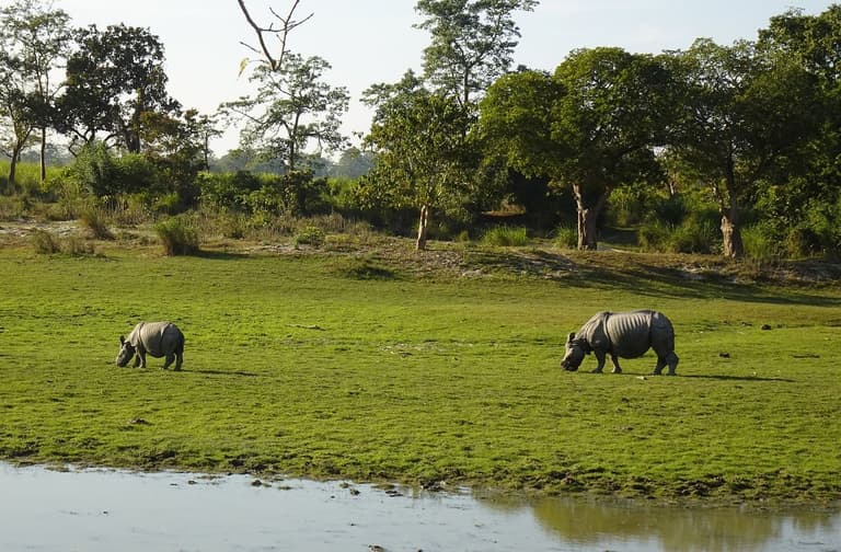 Best Time to Visit Assam – Weather & Best Seasons | Pickyourtrail