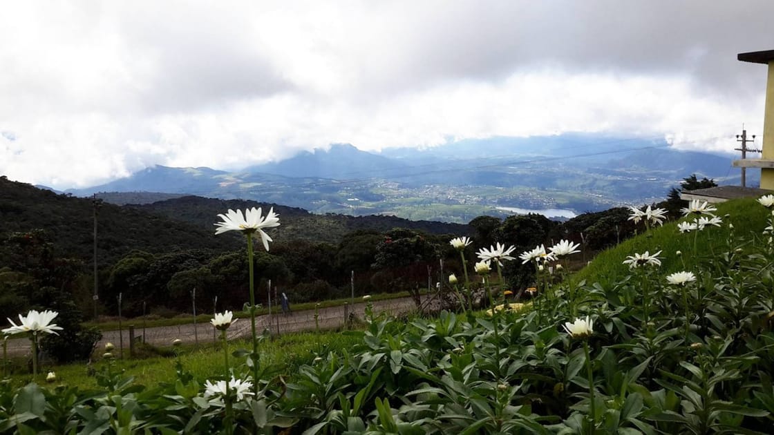 Exploring Pidurutalagala: Location, Timings, Ideal Visit Time ...