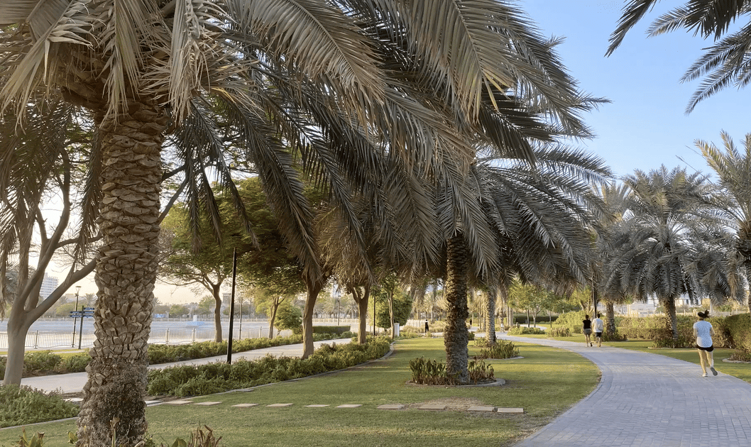 Al Barsha Pond Park Dubai Guide | Pickyourtrail