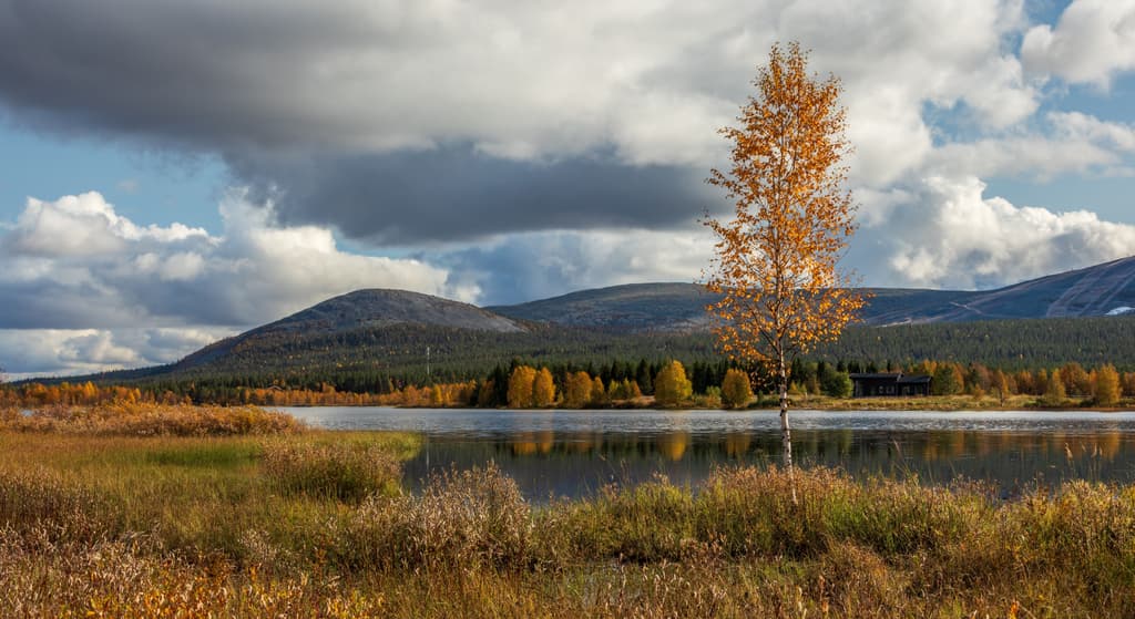 Best Time to Visit Finland Guide | Pickyourtrail