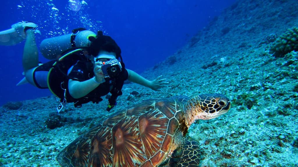 Ari Atoll Maldives: Luxury Resorts, Diving & Marine Life | Pickyourtrail