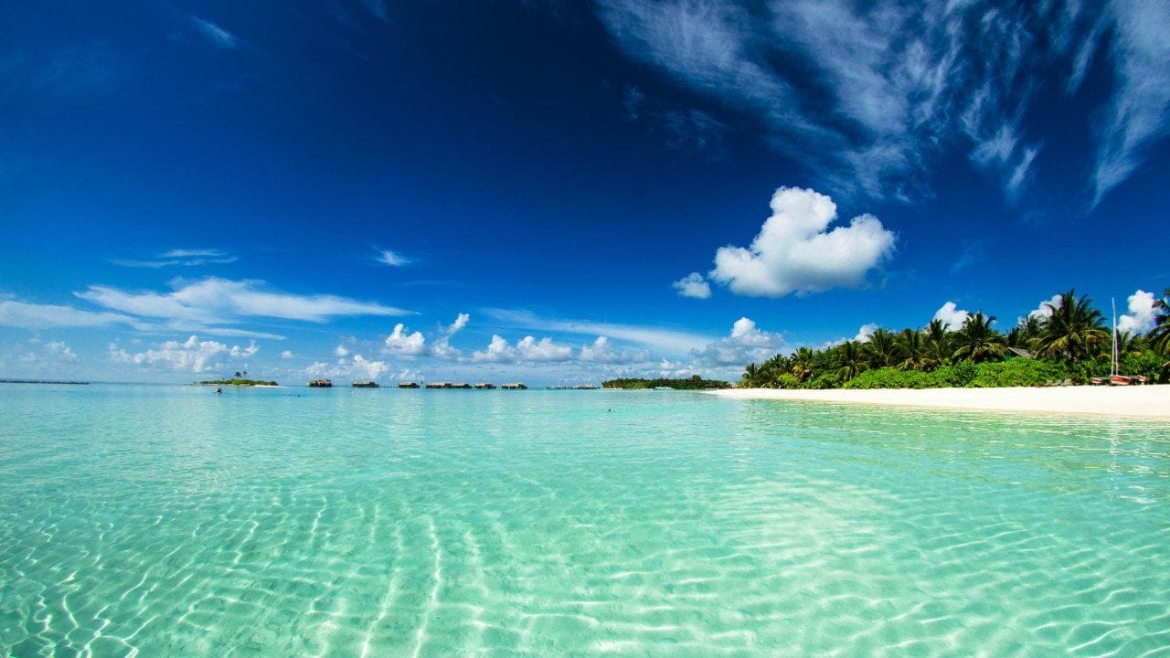 Vaavu Atoll Maldives: Diving, Resorts & Travel Guide | Pickyourtrail